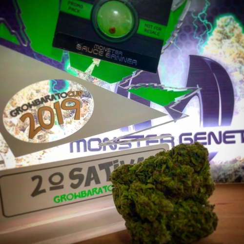 Monster Genetics breeder. Seed bank info - GrowDiaries