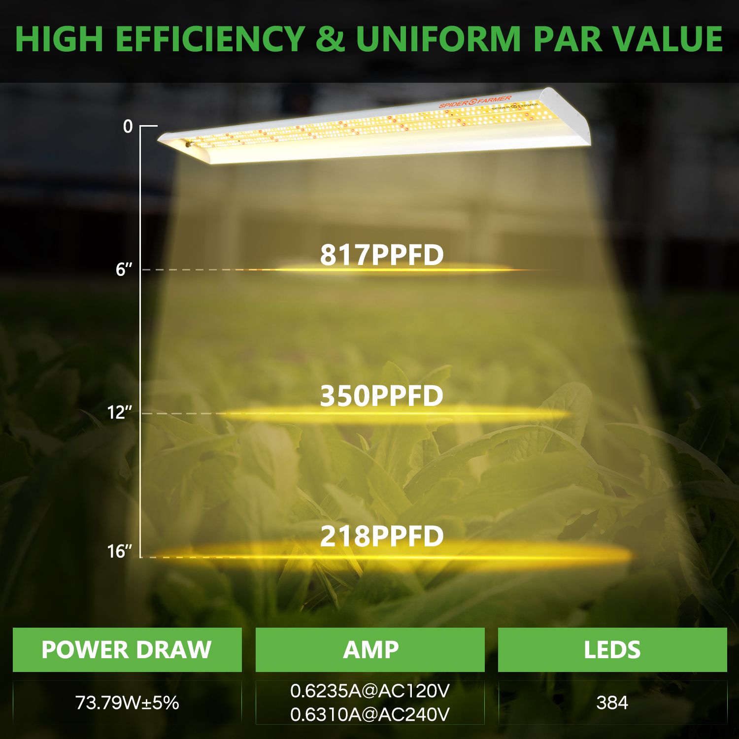 SF-600 by Spider Farmer grow lamp. Lighting information- GrowDiaries