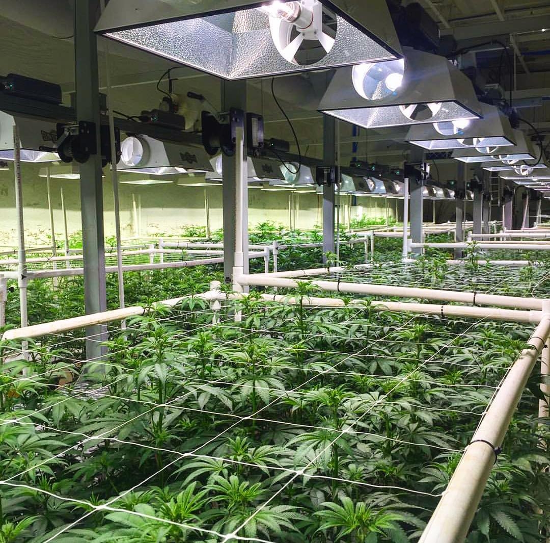 Solis Tek lamps manufacturer. Cannabis lighting brand information ...