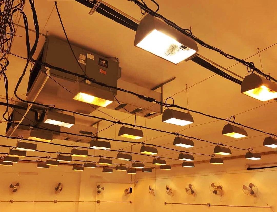 Solis Tek lamps manufacturer. Cannabis lighting brand information ...