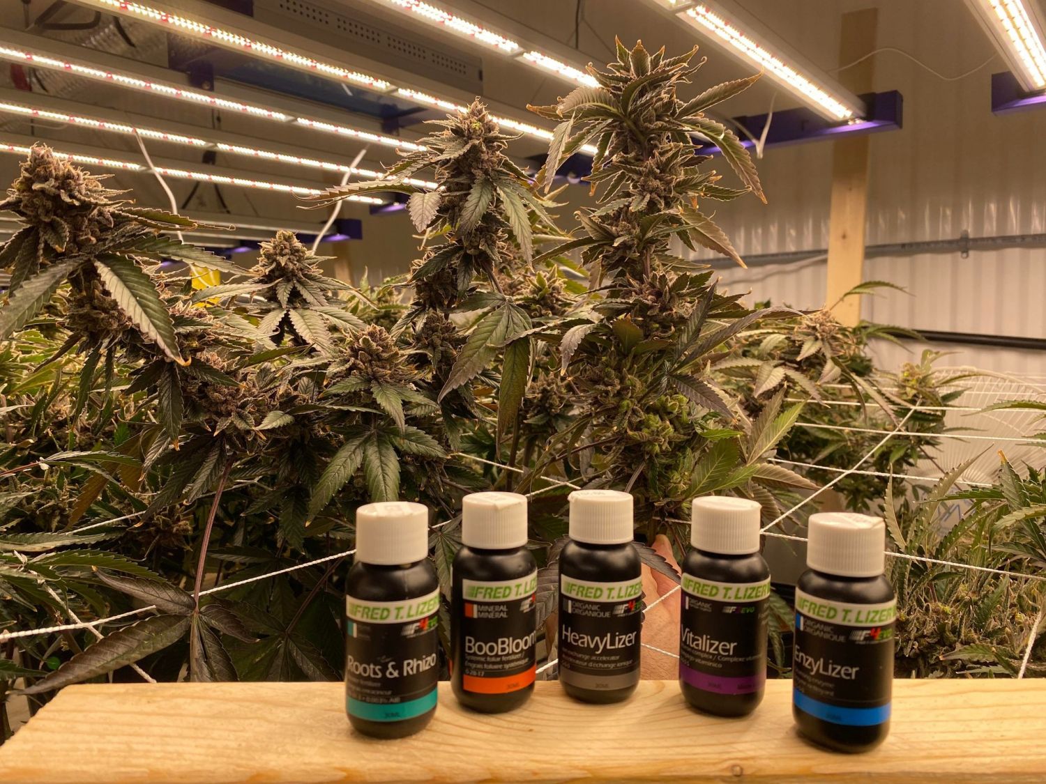 Fred T. Lizer nutrient producer info - GrowDiaries